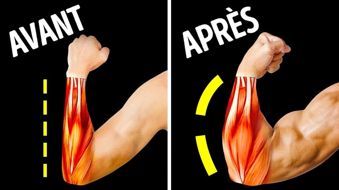 7 exercices pour muscler ses avant-bras rapidement