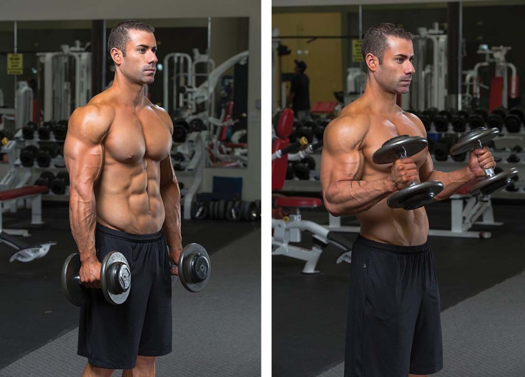 7 exercices pour muscler ses avant-bras rapidement