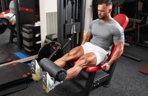 Quels muscles sont sollicités par le leg extension